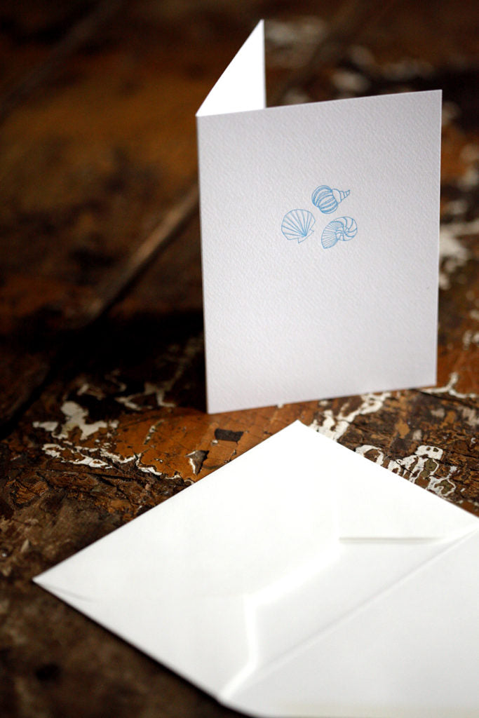 Seashell Folded Note Cards – Pickett's Press