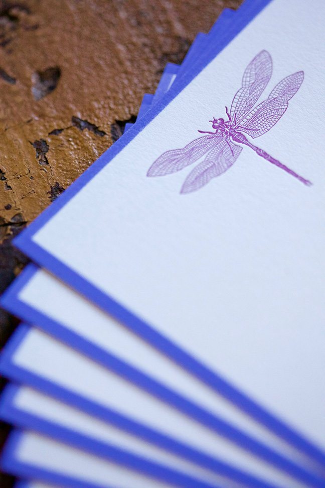 Dragonfly Note Cards – Pickett's Press