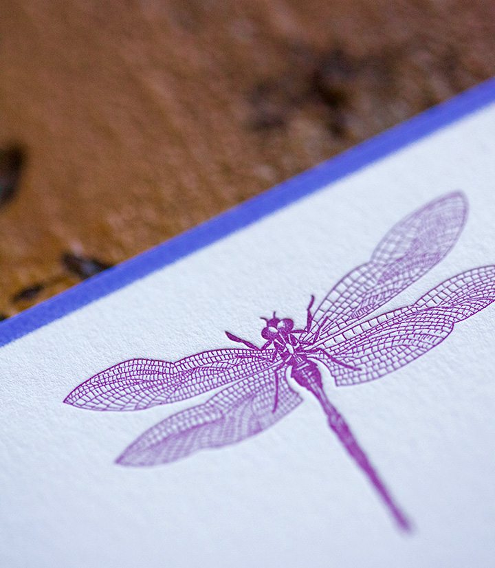 Dragonfly Note Cards – Pickett's Press