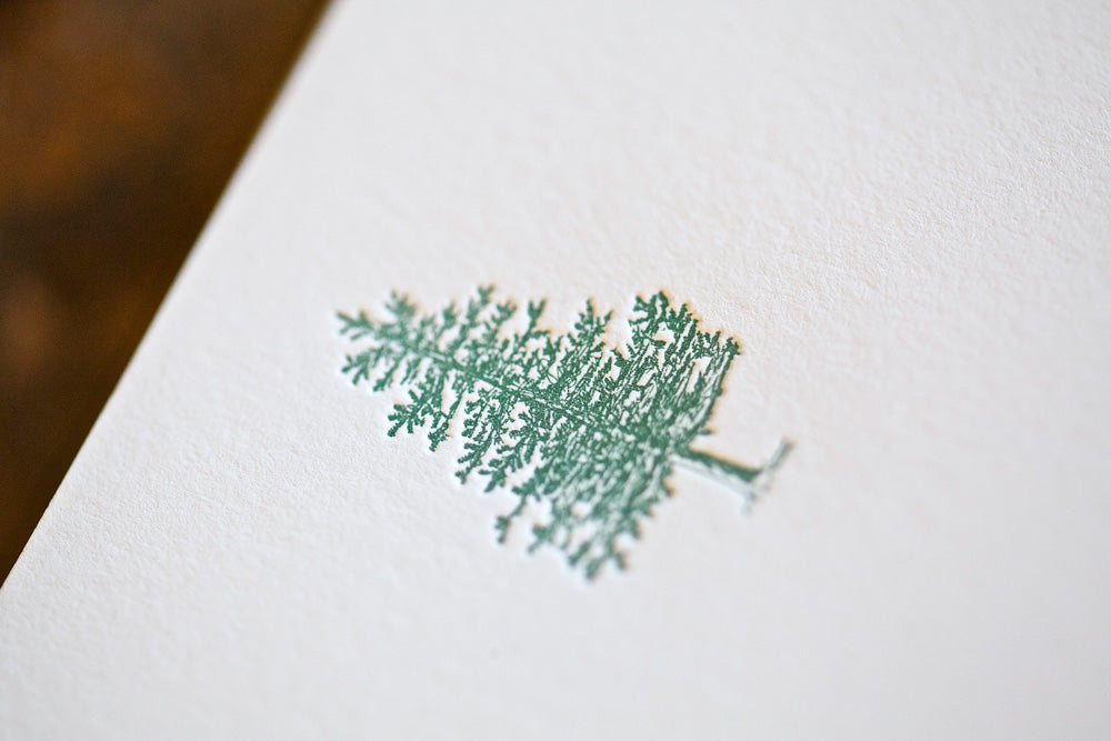 Pine Tree Note Cards – Pickett's Press